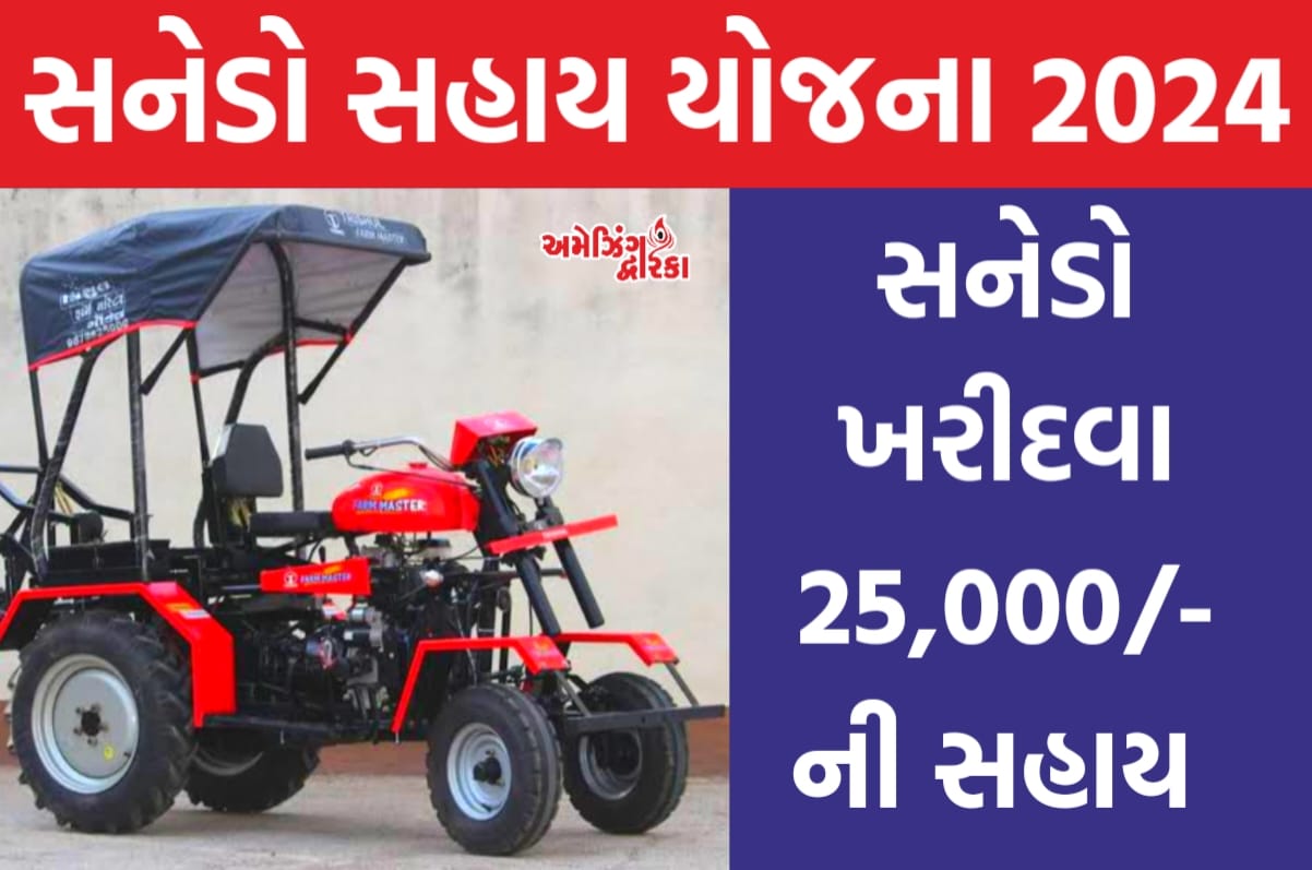Sanedo Sahay Gujarat 2024 । સનેડો સહાય યોજના 2024 ના ઓનલાઈન ફોર્મ ...